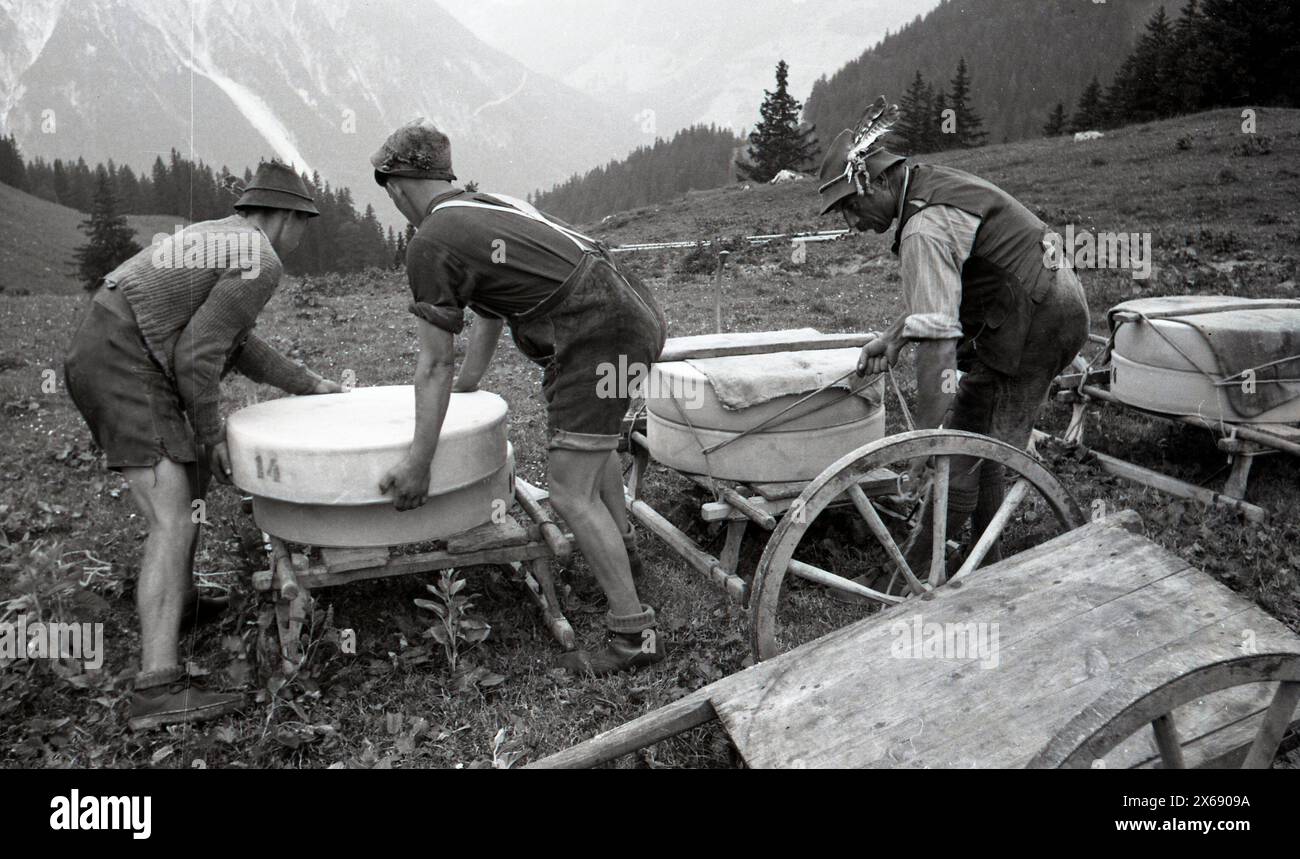 Men loading cheese onto sledges, 1949, Alpe Plättele, Allgäu, Bavaria ...