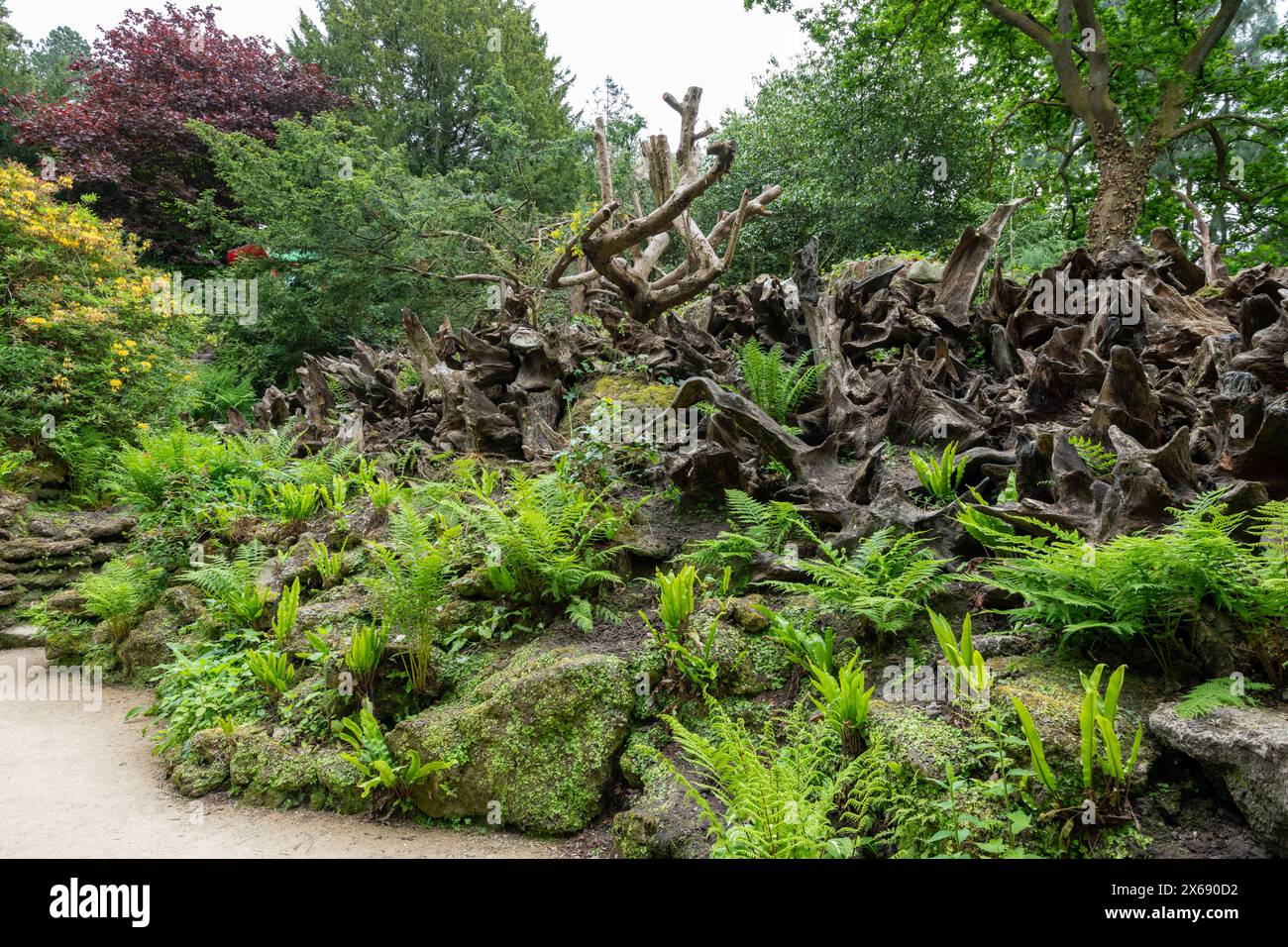 Stumpery hi-res stock photography and images - Alamy