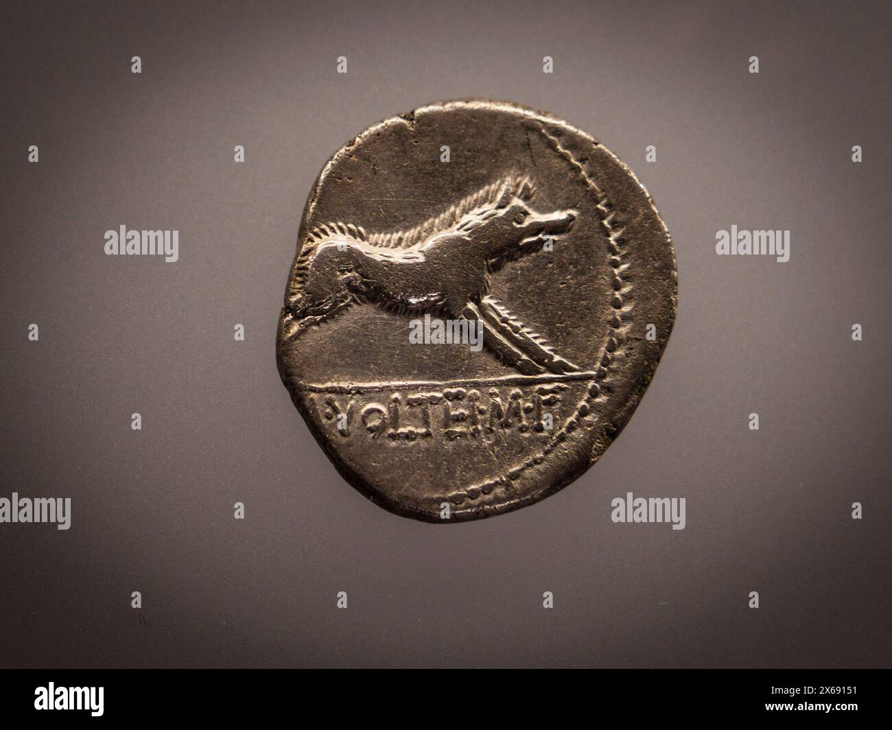 coins from the Iberian period representing the Erymanthian wild boar ...