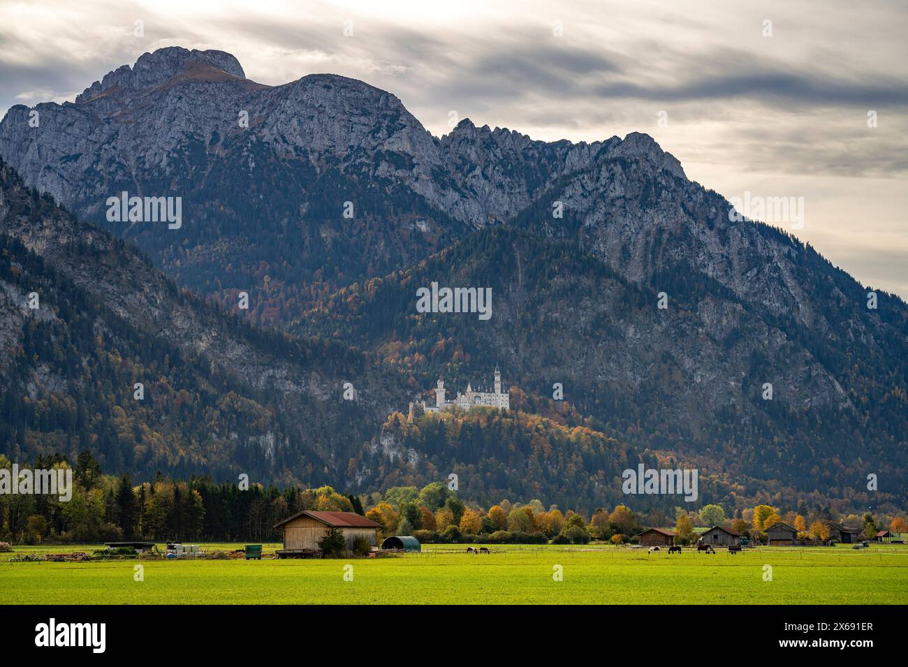Neuschwanstein castle landscape hi-res stock photography and images - Alamy
