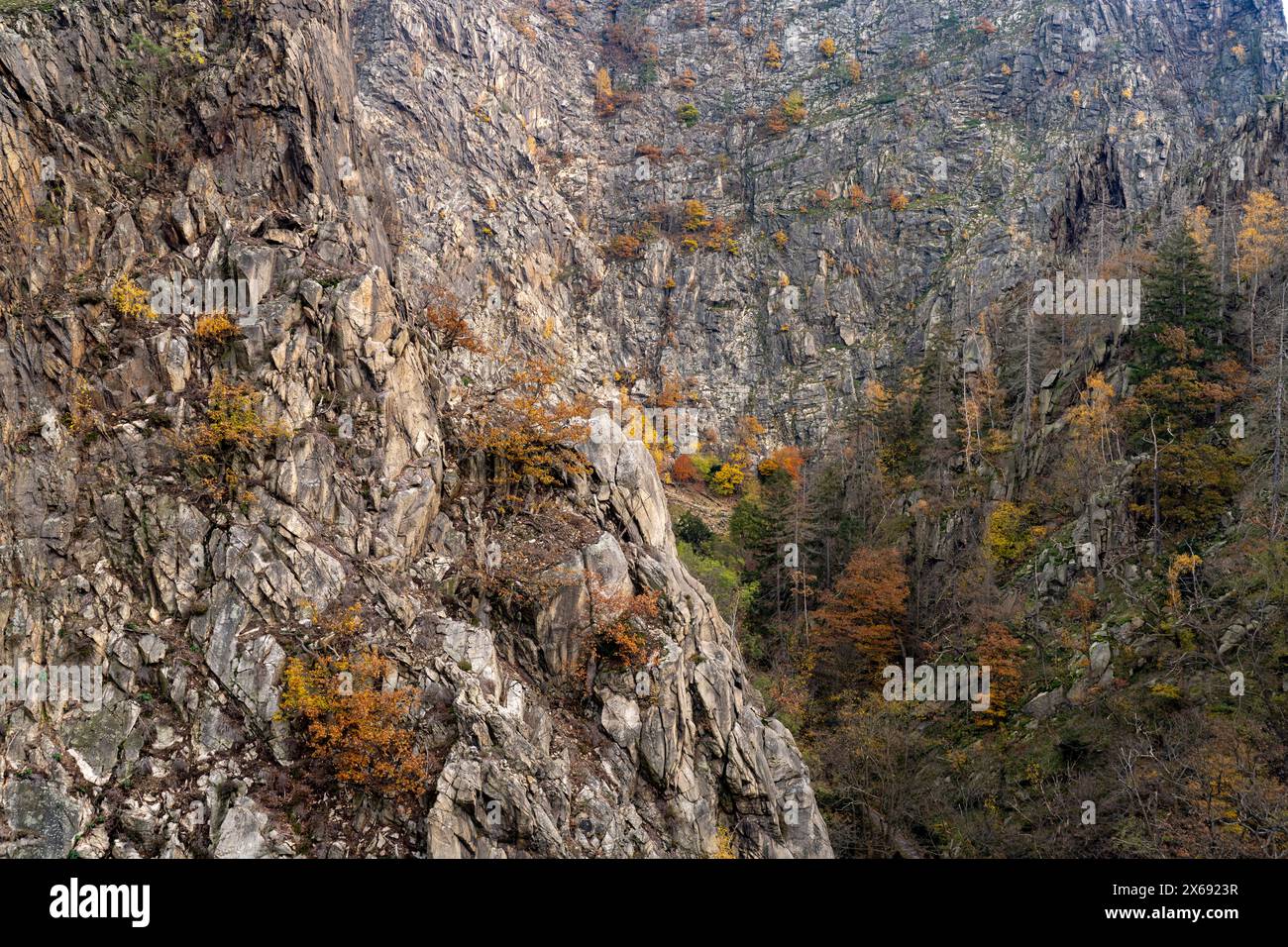 The Bode Valley in the Harz Mountains near Thale, Saxony-Anhalt ...