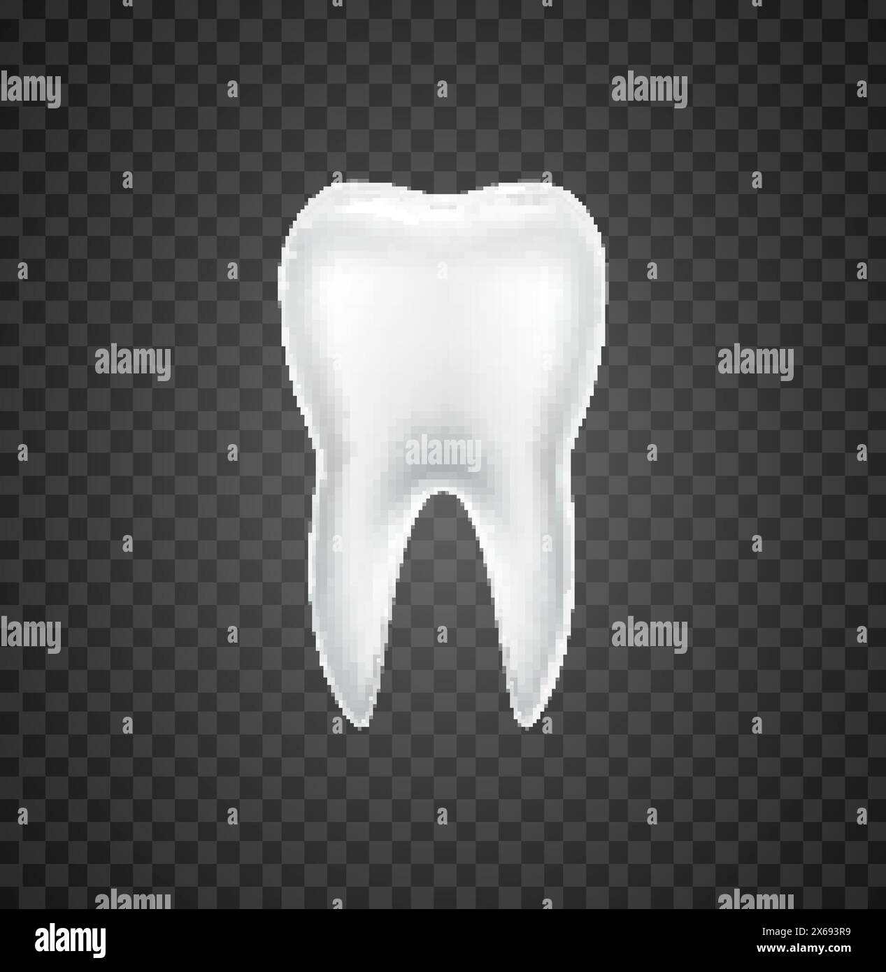 Isolated tooth dental vector realistic white single graphic. Tooth ...