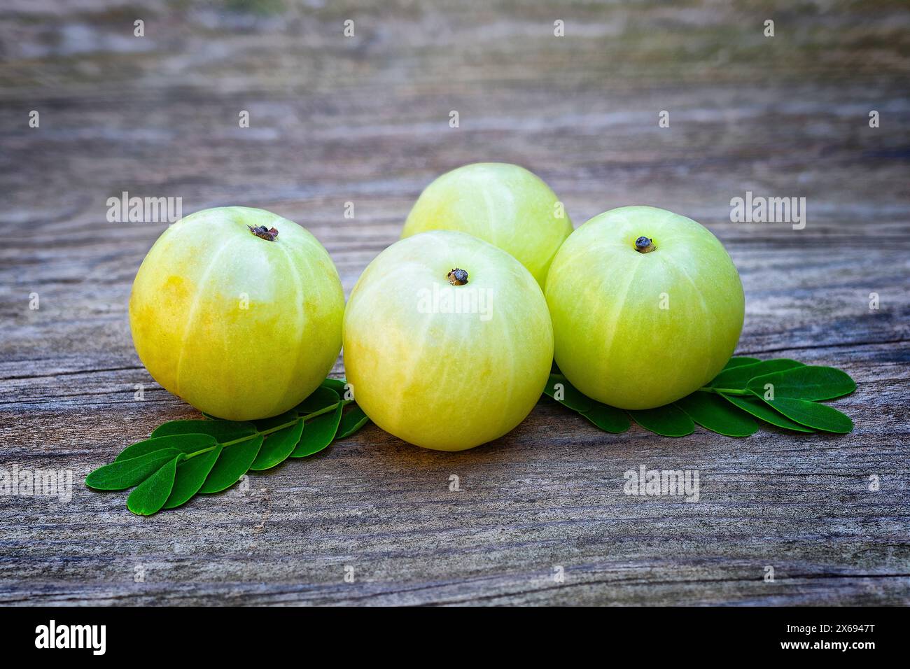 Amla, emblic or indian gooseberry (Phyllanthus emblica), Phyllanthaceae ...