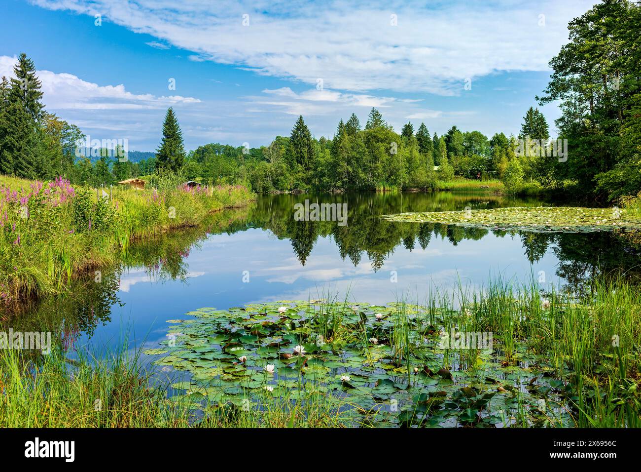 Treading pool hi-res stock photography and images - Alamy