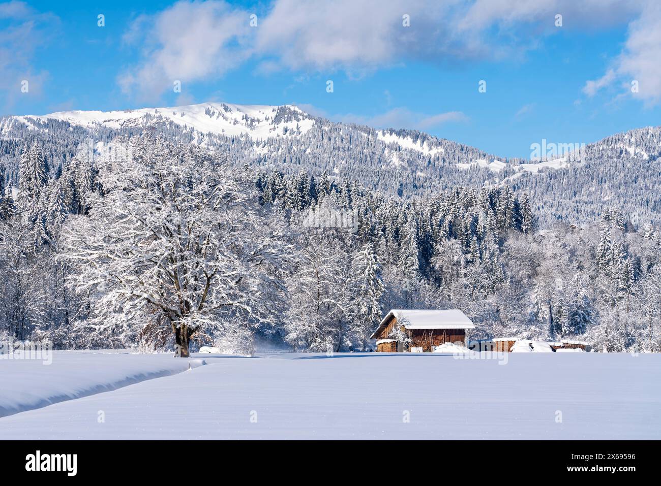Sonthofen - Altstädten, winter landscape in the Illertal valley Stock ...