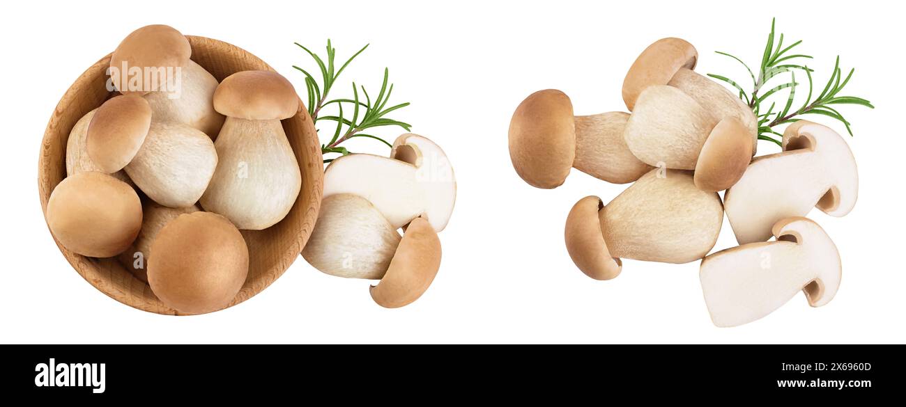 Fresh porcini cep mushroom isolated on white background in wooden bowl ...