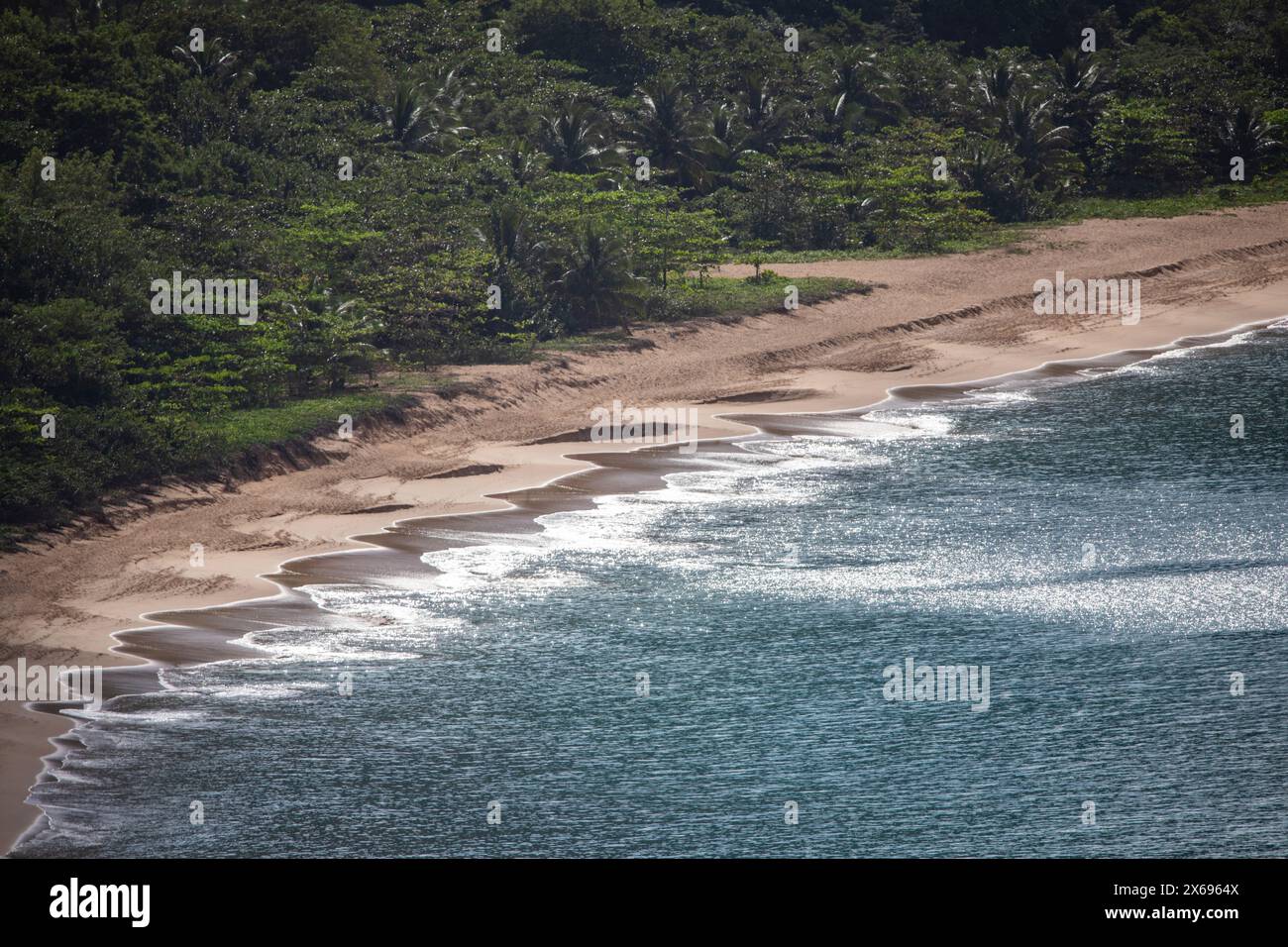 Palms trees mangroves on hi-res stock photography and images - Alamy