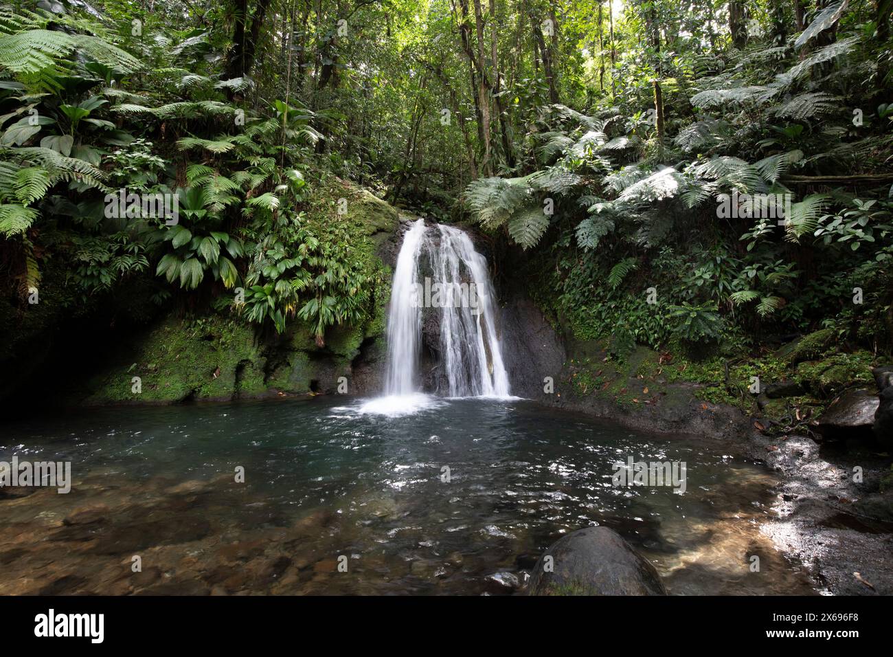 Pure nature, a waterfall with a pond in the forest. The Ecrevisses ...