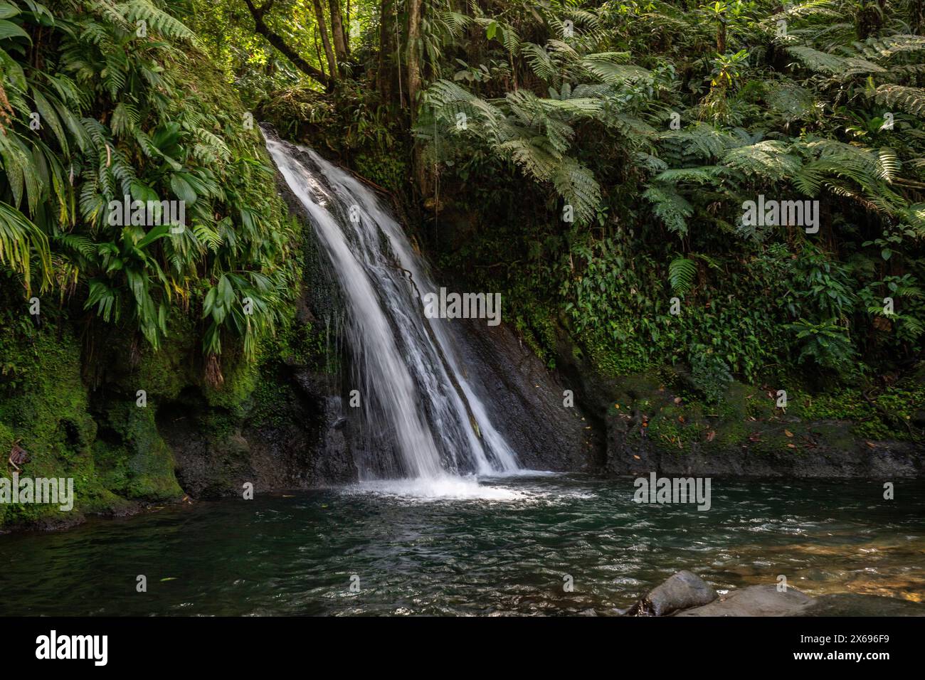 Pure nature, a waterfall with a pond in the forest. The Ecrevisses ...
