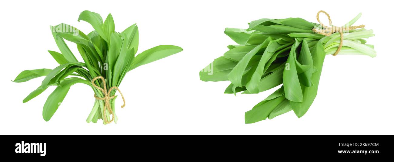 Ramson bunch vegetable isolated on white background with full depth of ...