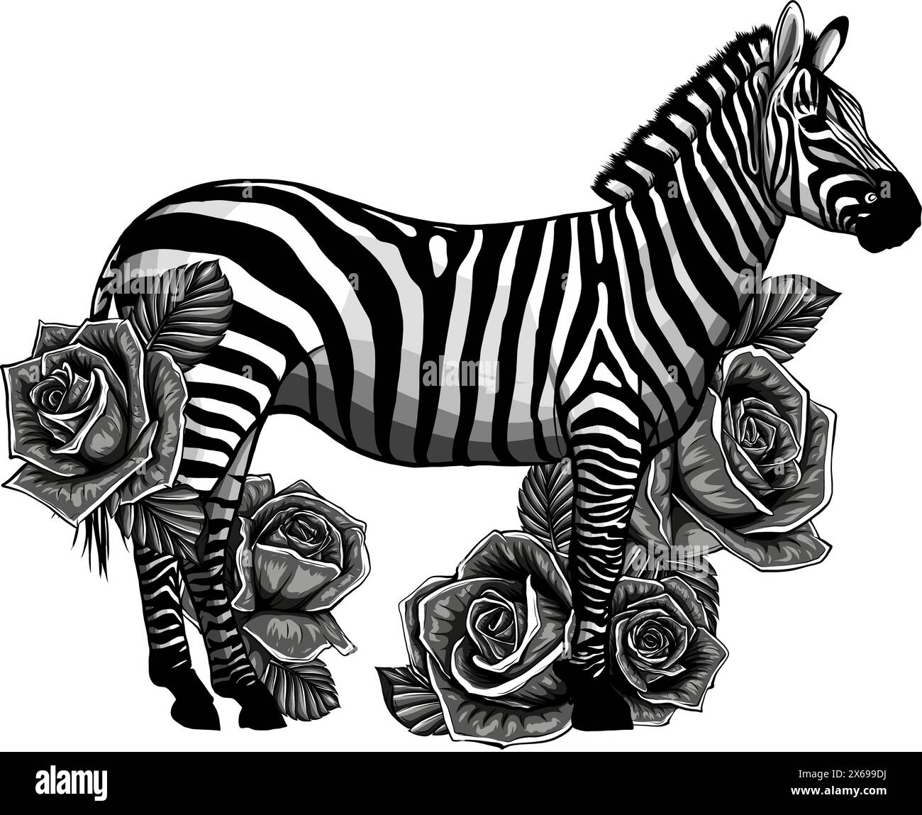 Zebra with rose flower hand drawn illustration Stock Vector Image & Art ...