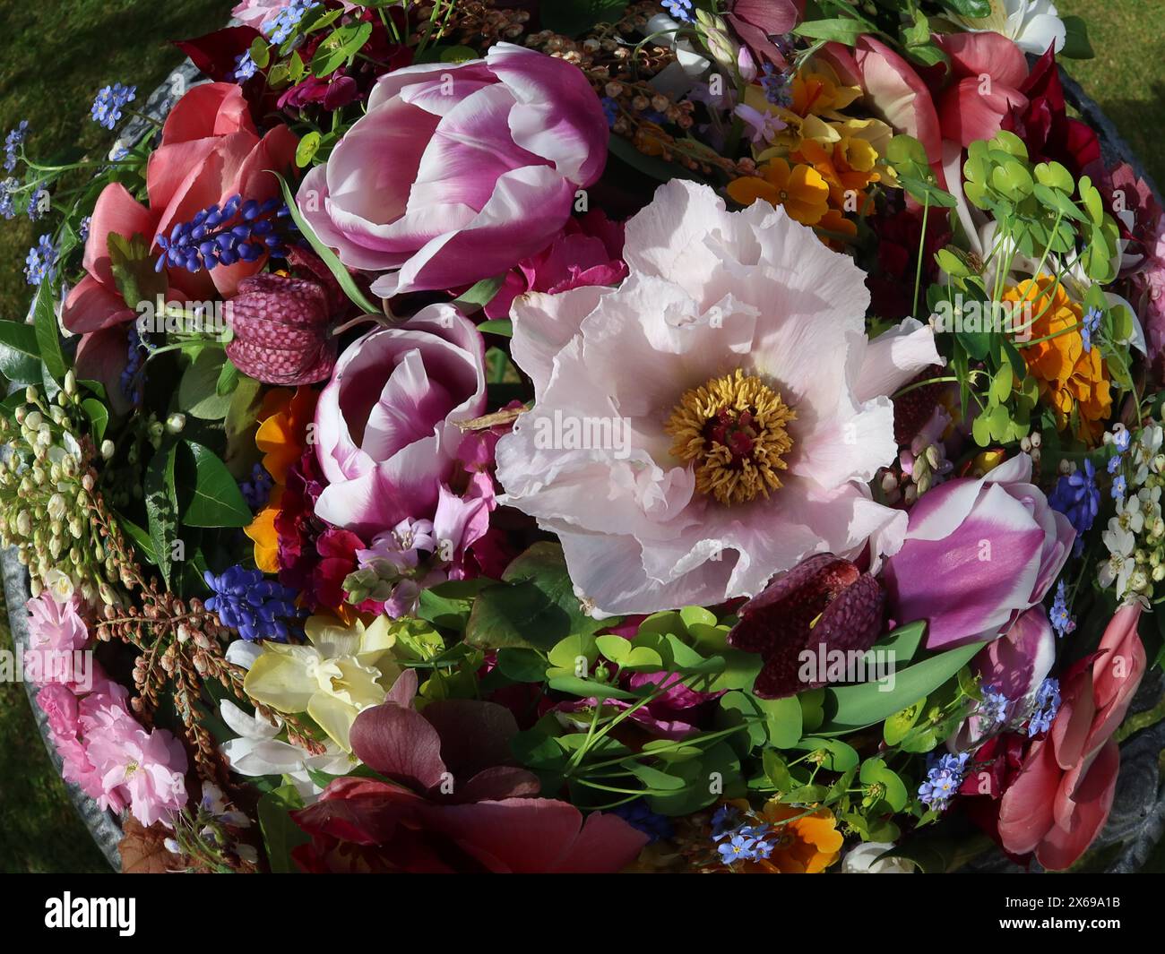 Camera settings: using a fish eye lens gives a slightly distorted view ...