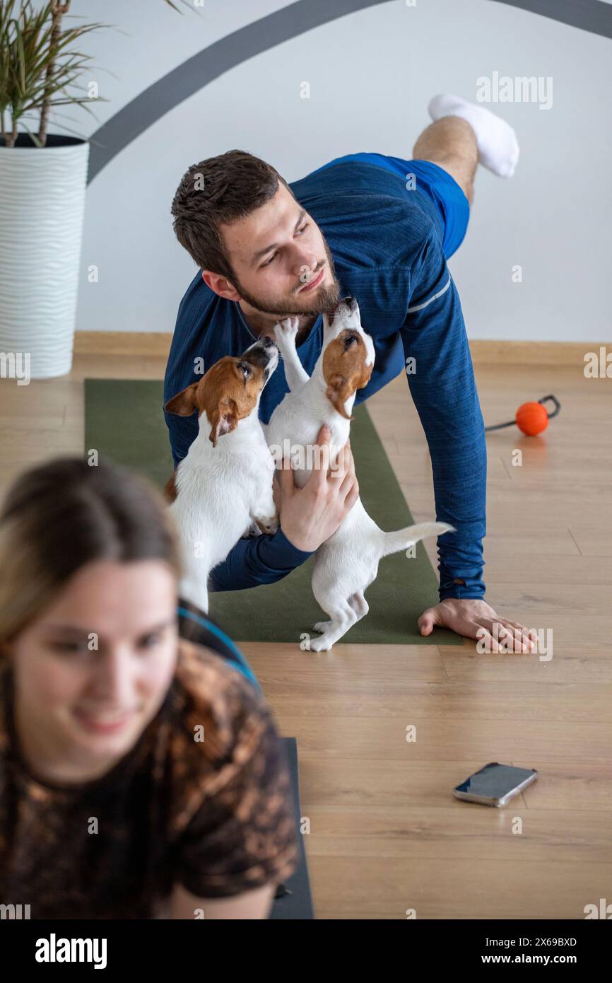 happy married couple doing yoga with pedigree Jack Russell Terrier ...