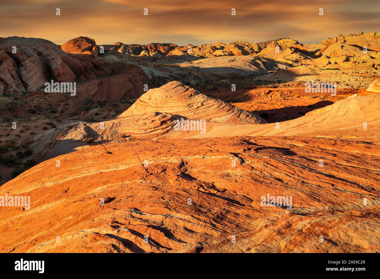 Fire Wave at sunset, Valley of Fire State Park, Nevada, United States ...