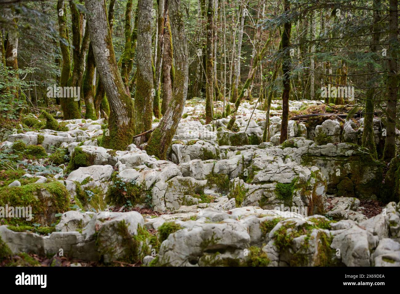 Karst path hi-res stock photography and images - Alamy