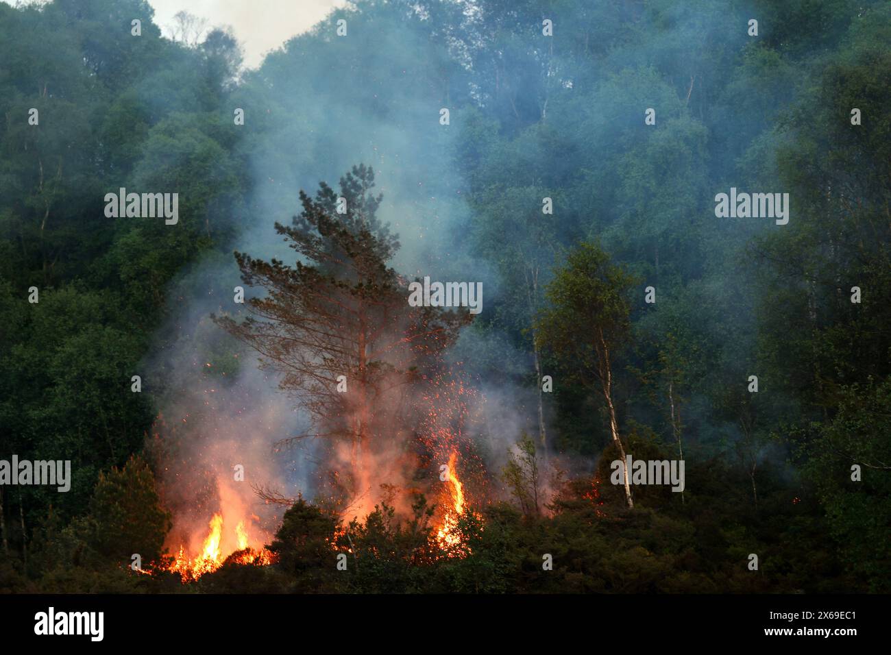Sotra 20240513.Fire crews from four different stations are working to ...