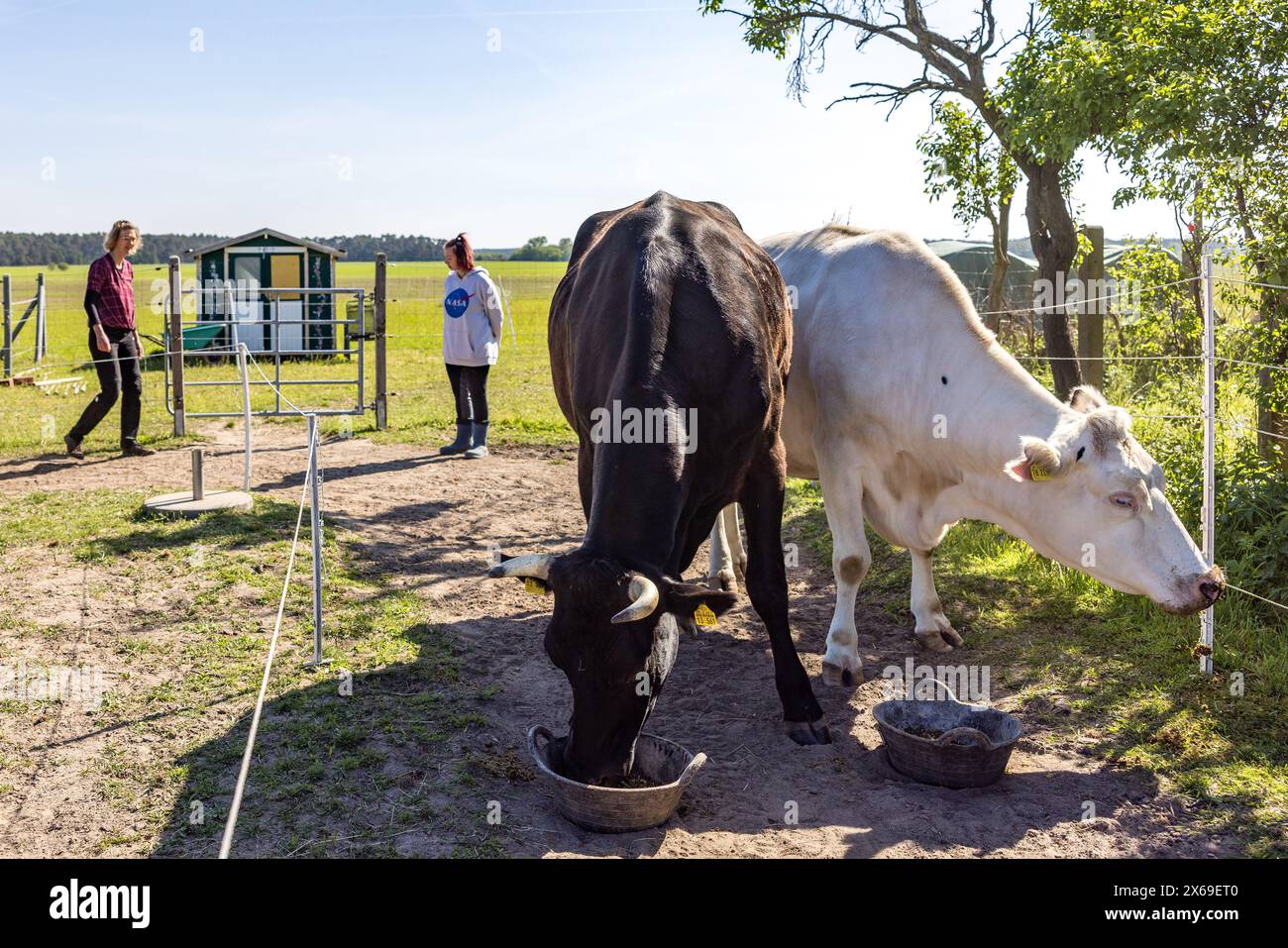 PRODUCTION - 09 May 2024, Brandenburg, Schönewalde: Jessica Exner (l-r ...