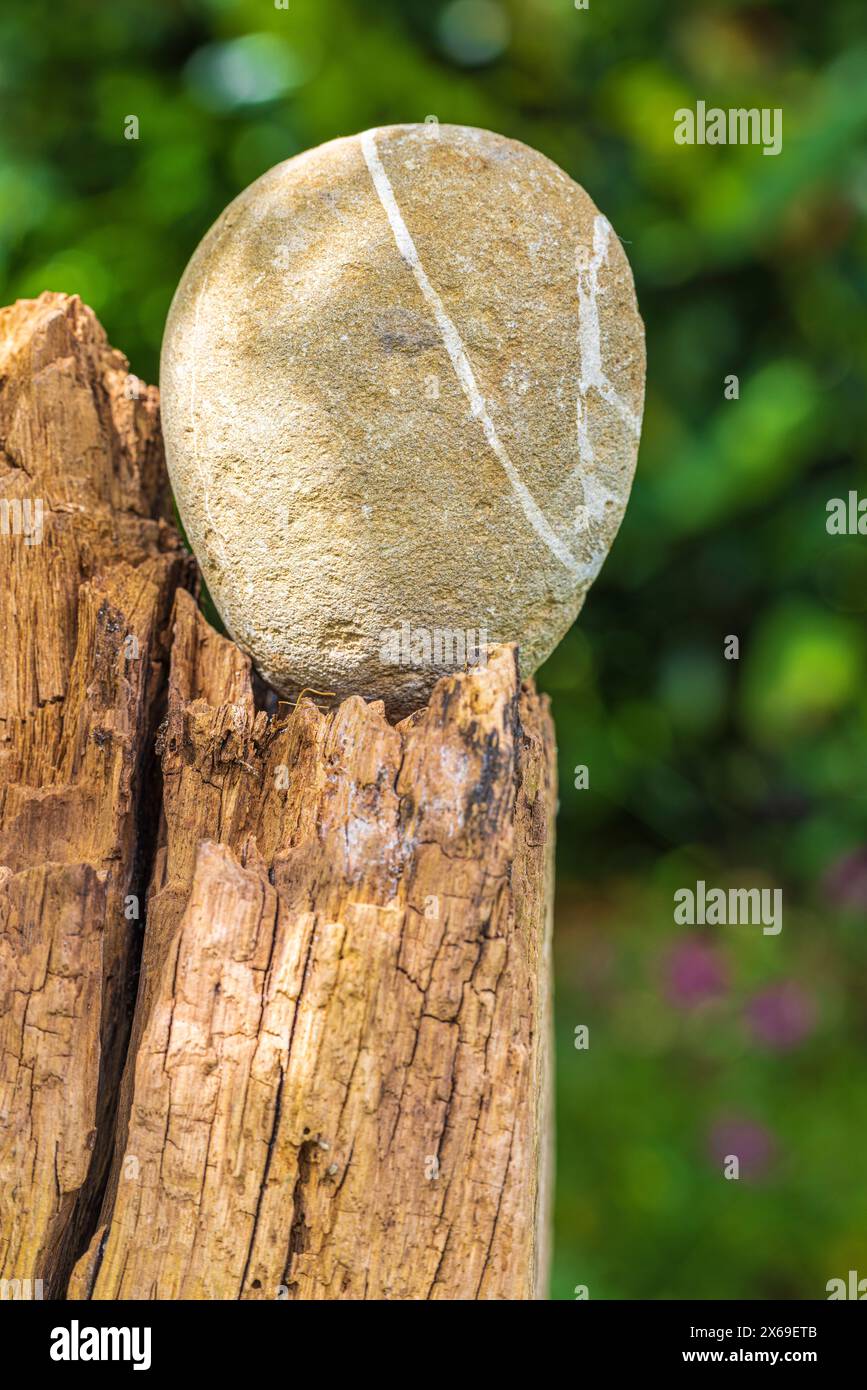 Outdoor still life hi-res stock photography and images - Alamy