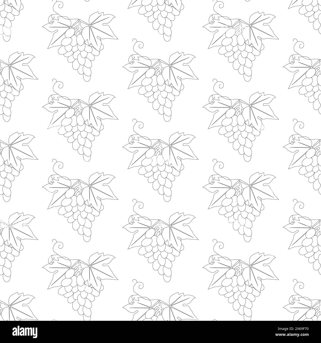 Grape branch with laza and leaves. Ripe bunch, juicy grape fruit ...