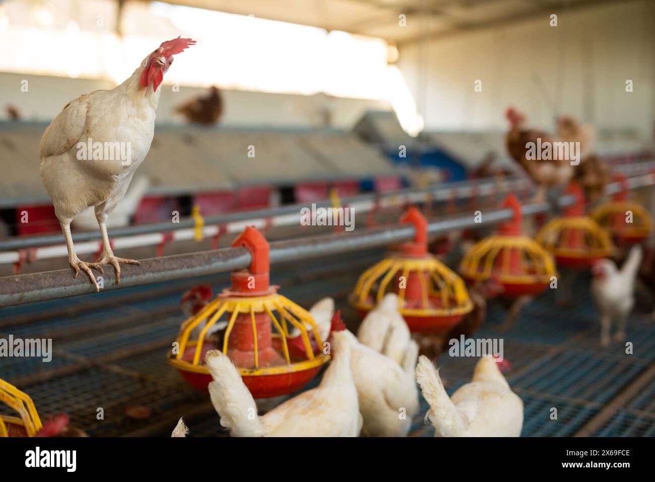 Smartsystem hi-res stock photography and images - Alamy