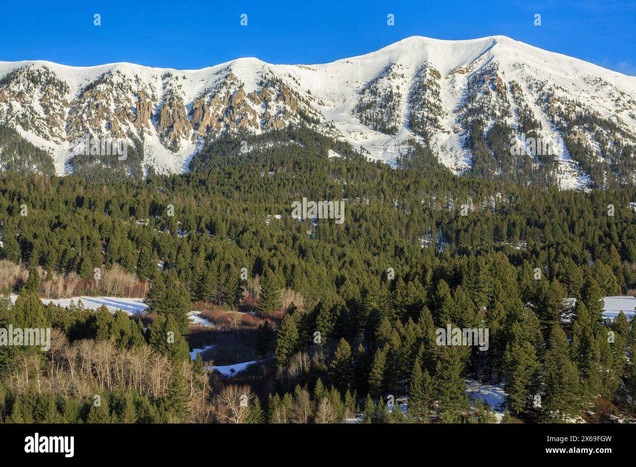 saddle mountain in the bridger range near bozeman, montana Stock Photo ...
