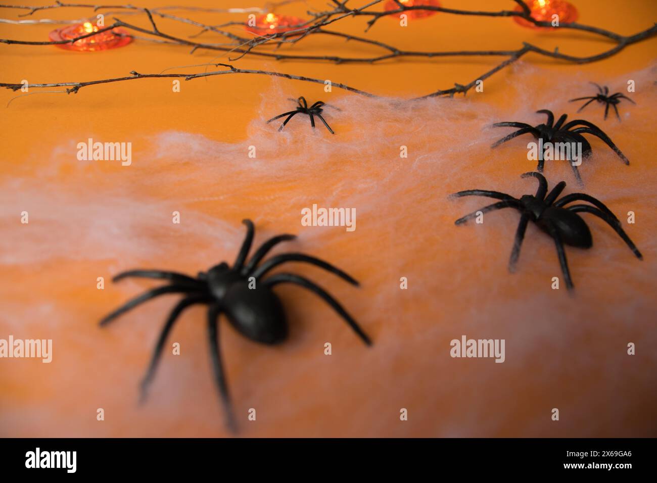 Halloween decorations, pumpkins, web, spines on orange background ...