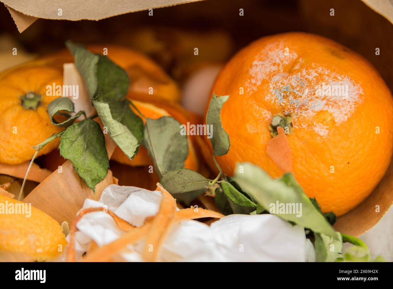 Fresh garbage hi-res stock photography and images - Alamy