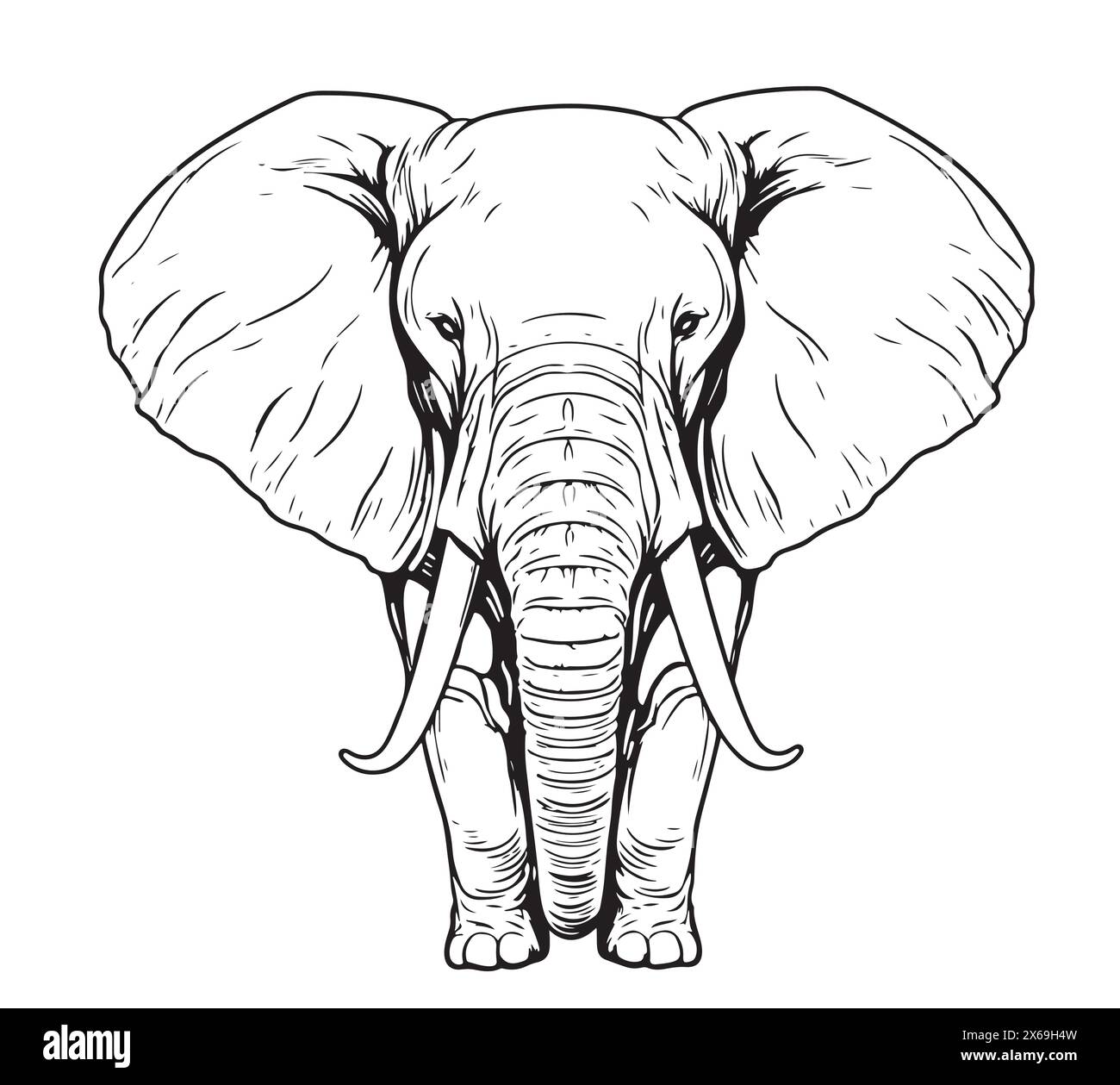 Elephant walking sketch hand drawn in doodle style illustration Stock ...