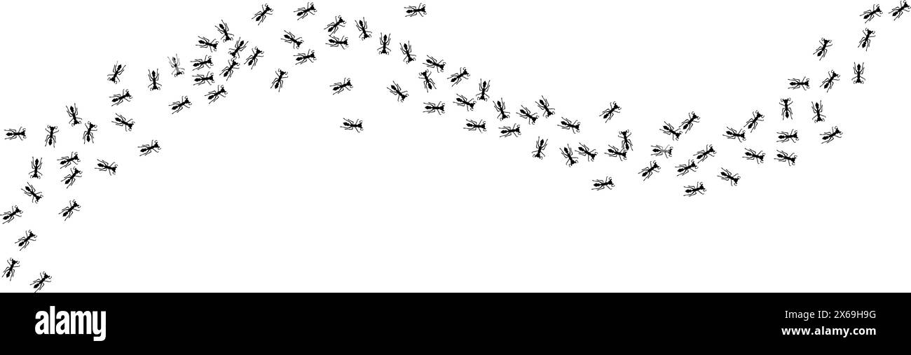 Chaotic Ant trail way illustration. Insect at home. concept Stock vector illustration isolated ...