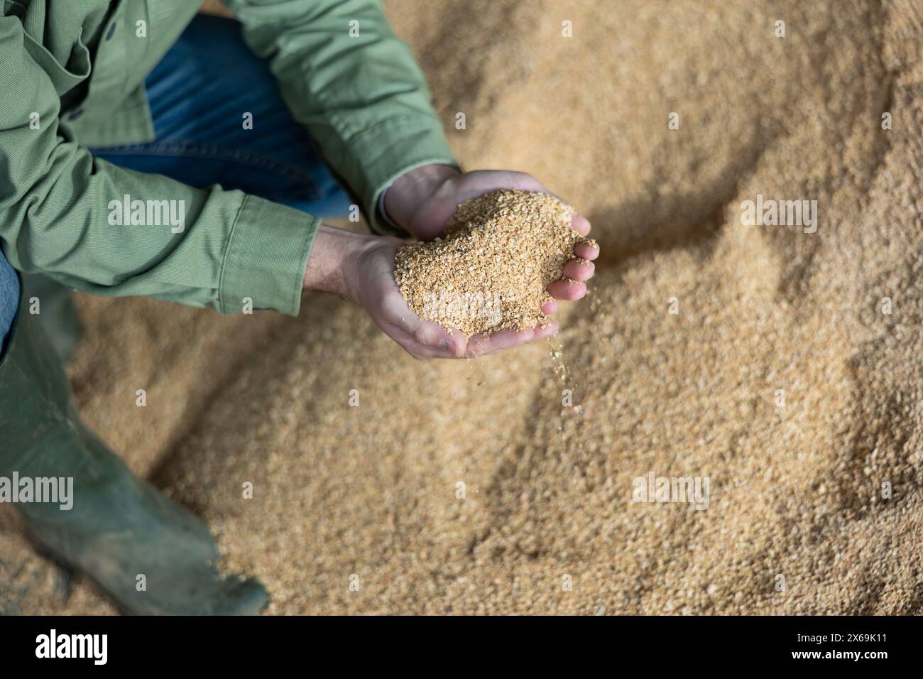 Soybean husk animal feed in farmers hands Stock Photo - Alamy
