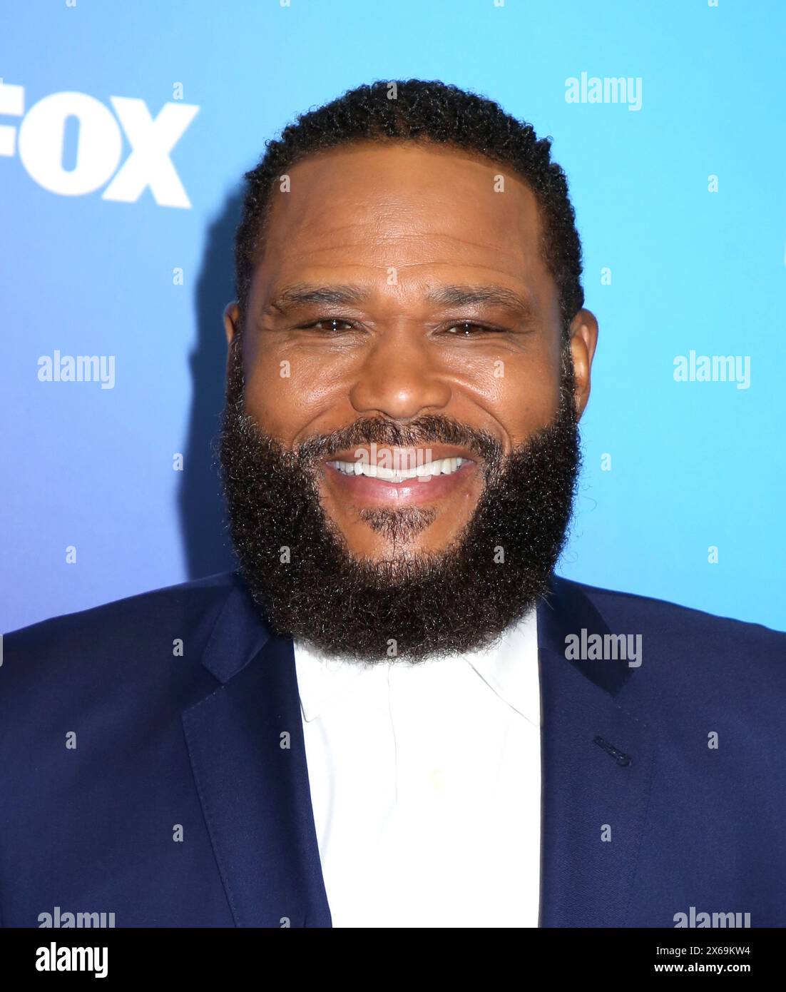 New York City, USA. 13th May, 2024. Anthony Anderson attending the FOX ...