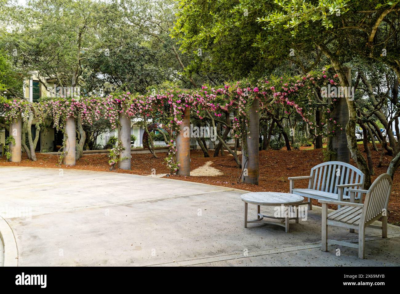 Rose garden arbor hi-res stock photography and images - Alamy
