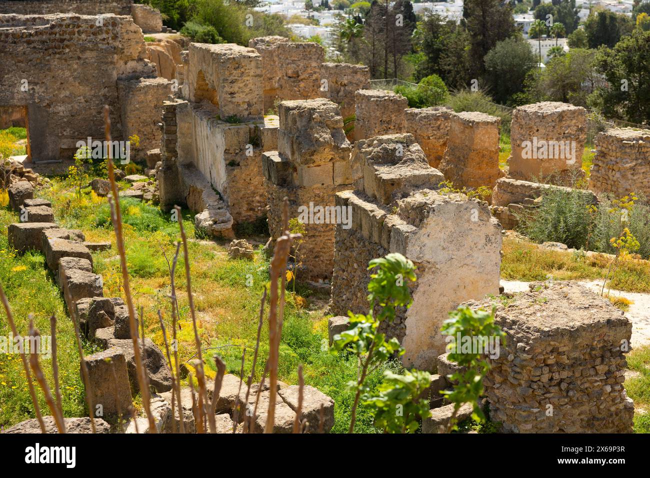 Ruins of house of Hannibal at the excavations of Carthage Stock Photo ...