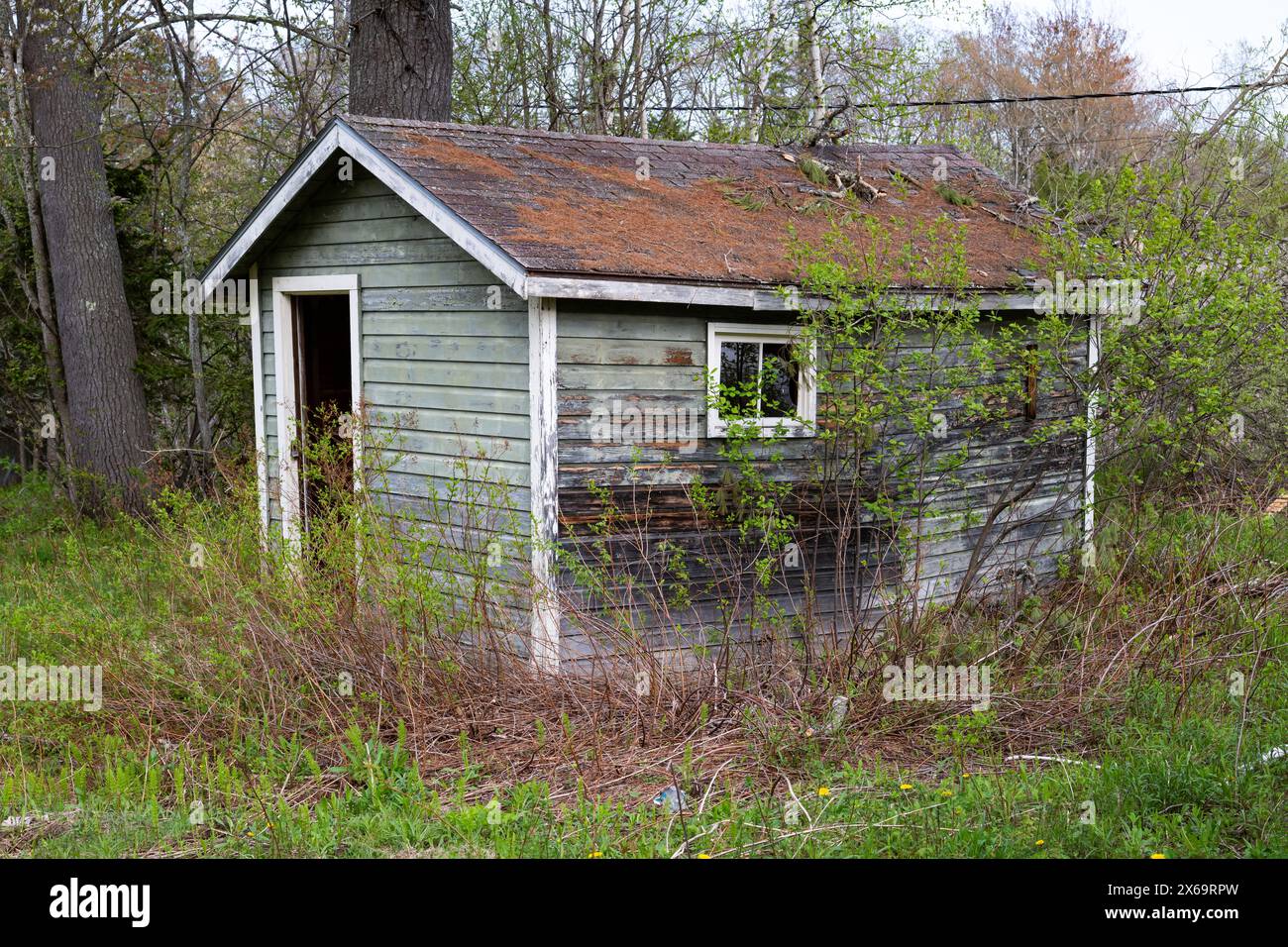 Abandoned shack hi-res stock photography and images - Alamy