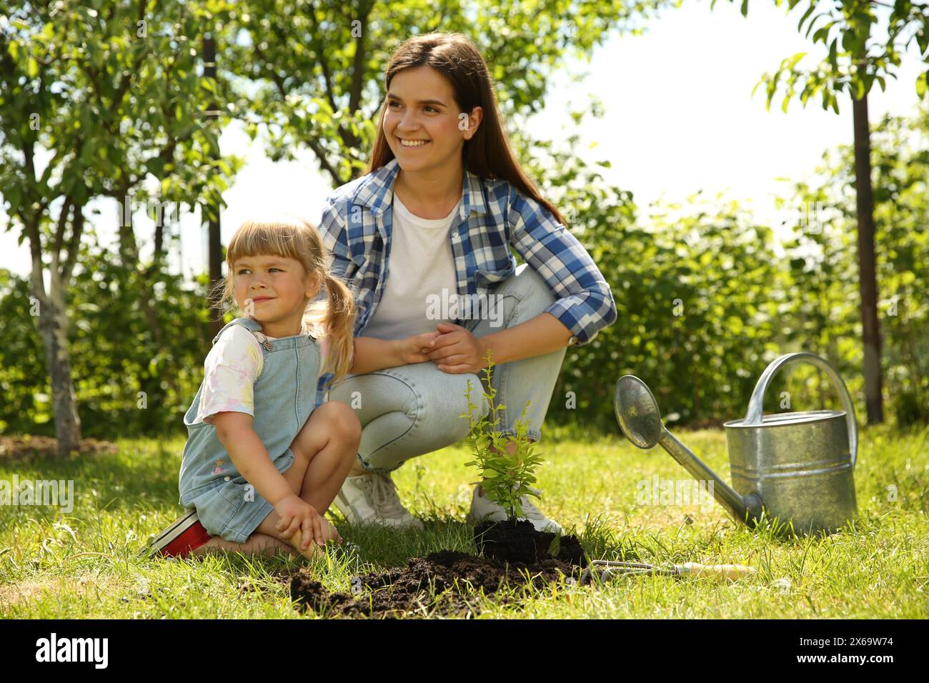 Mother and her daughter planting tree together in garden Stock Photo ...