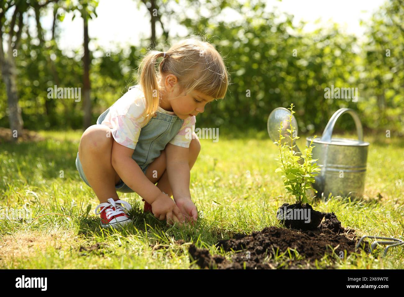 Cute little girl planting tree in garden Stock Photo - Alamy