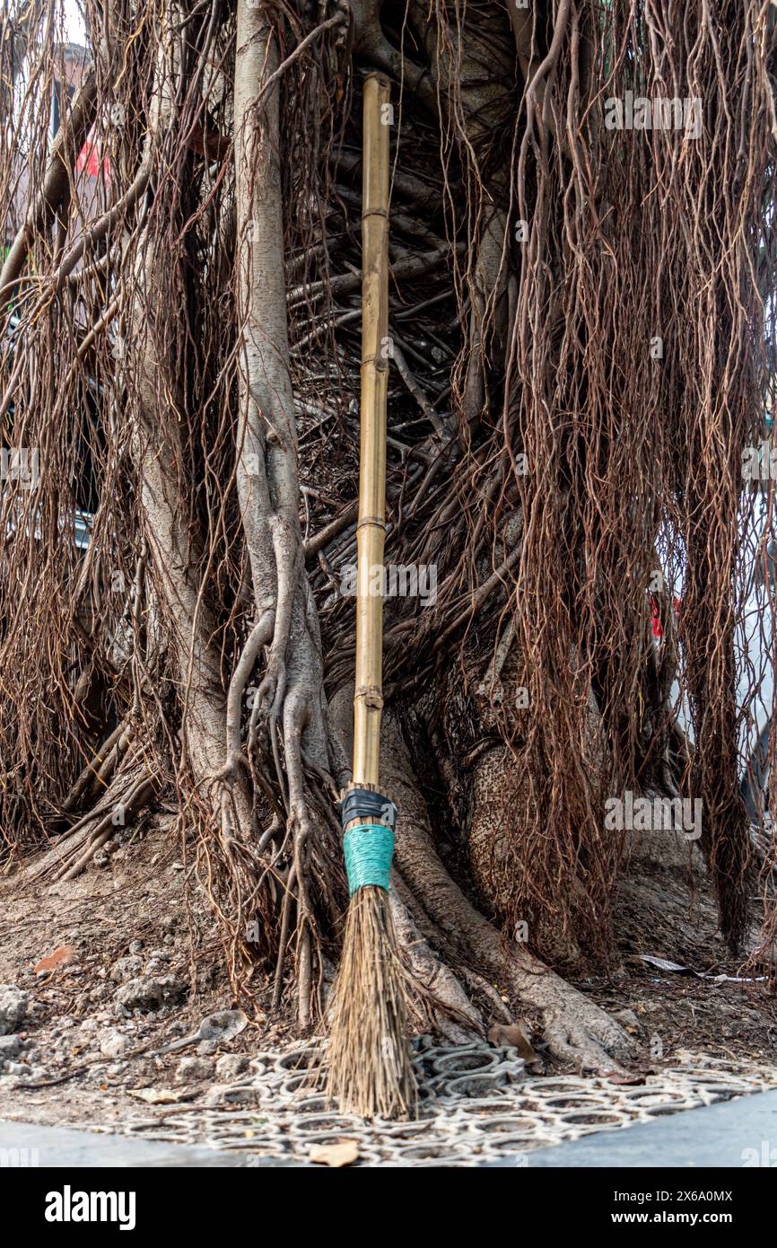 A broom leaning against a tree on the sidewalk Stock Photo - Alamy