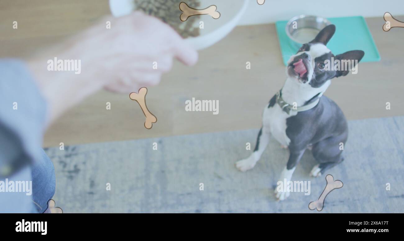 Dog skeleton icon animation hi-res stock photography and images - Alamy