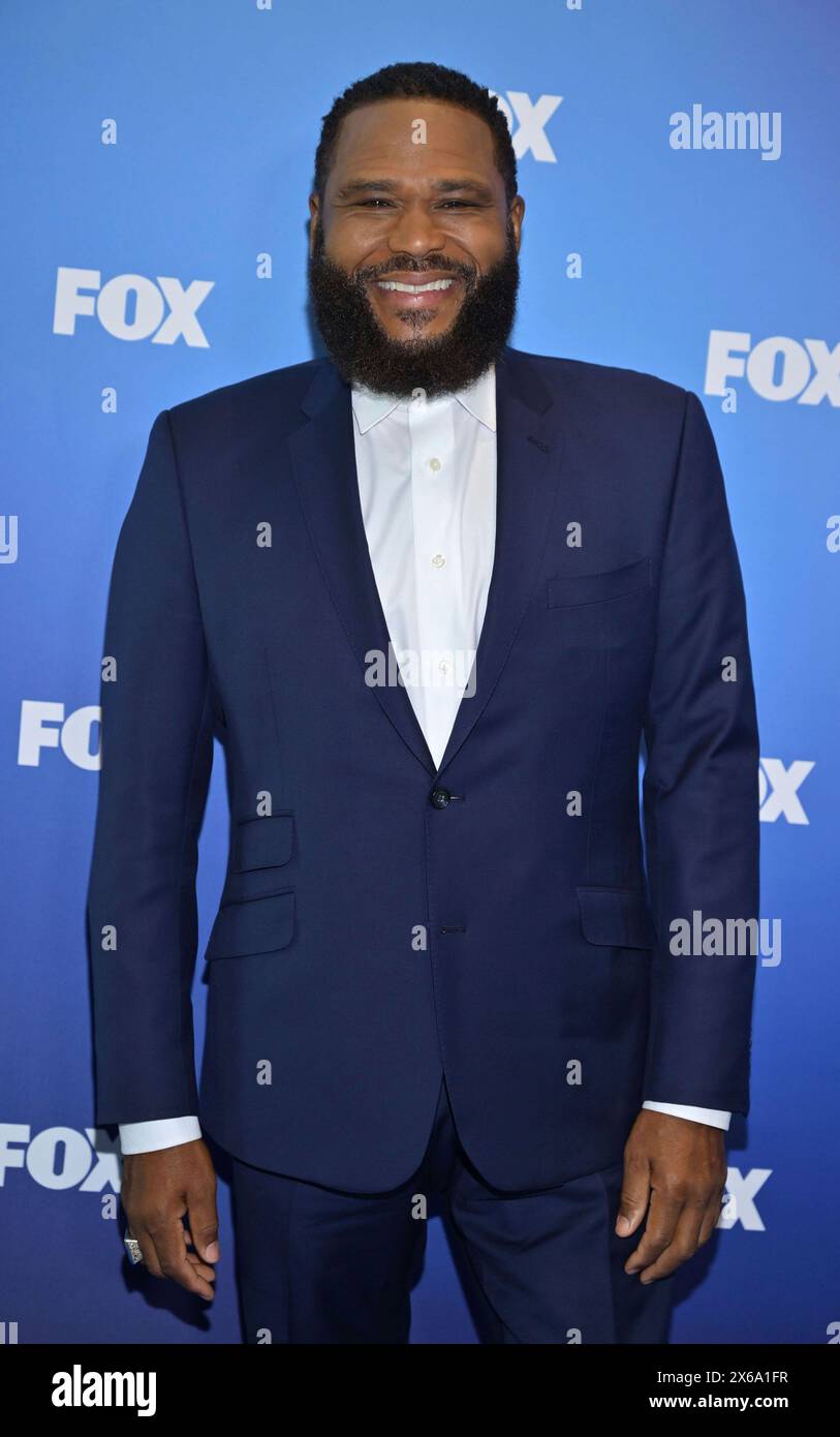 Photo by: zz/NDZ/STAR MAX/IPx 2024 5/13/24 Anthony Anderson at the 2024 ...