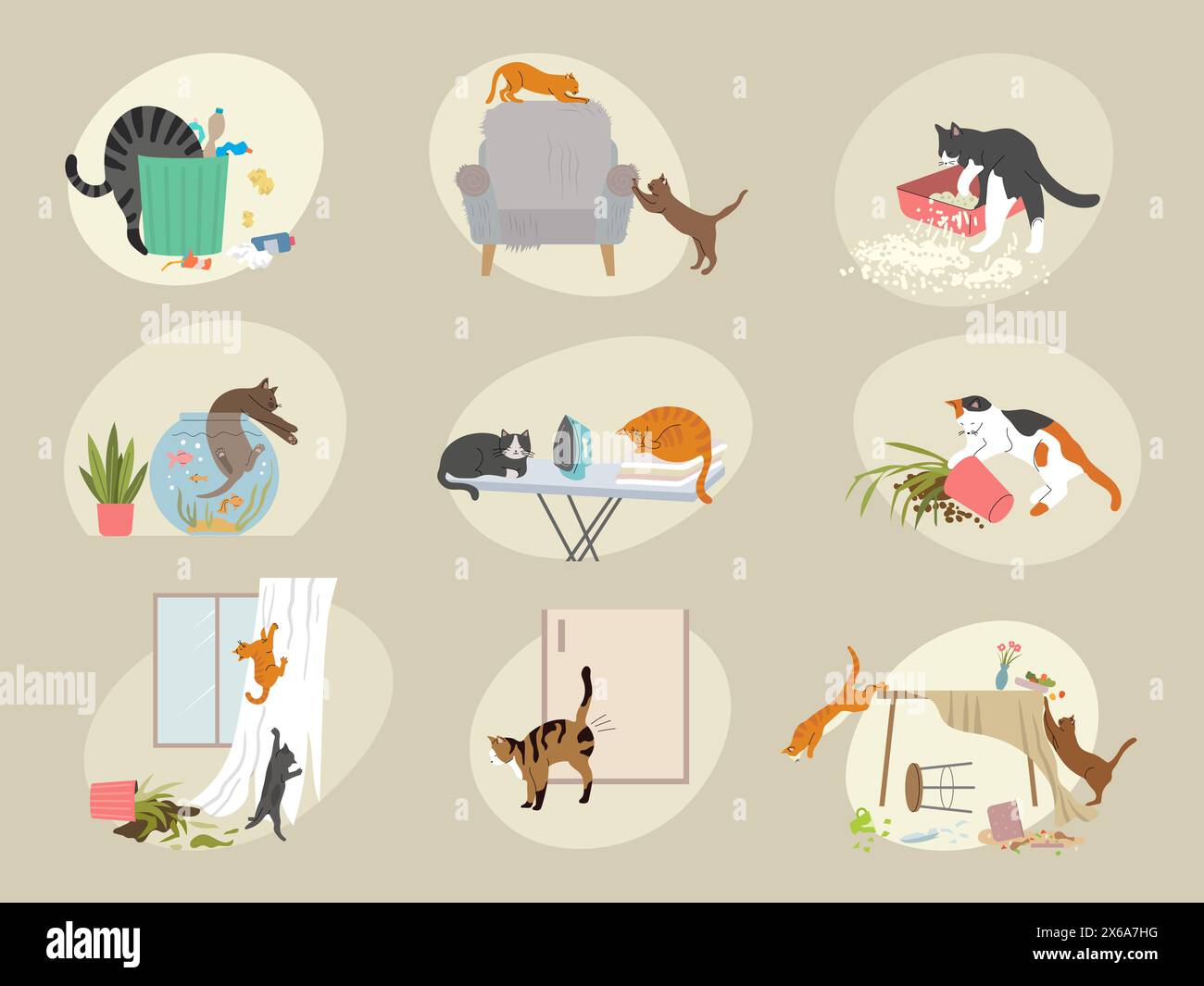 Behavior cats. Domestic pets kitten destroying home rooms indoor ...