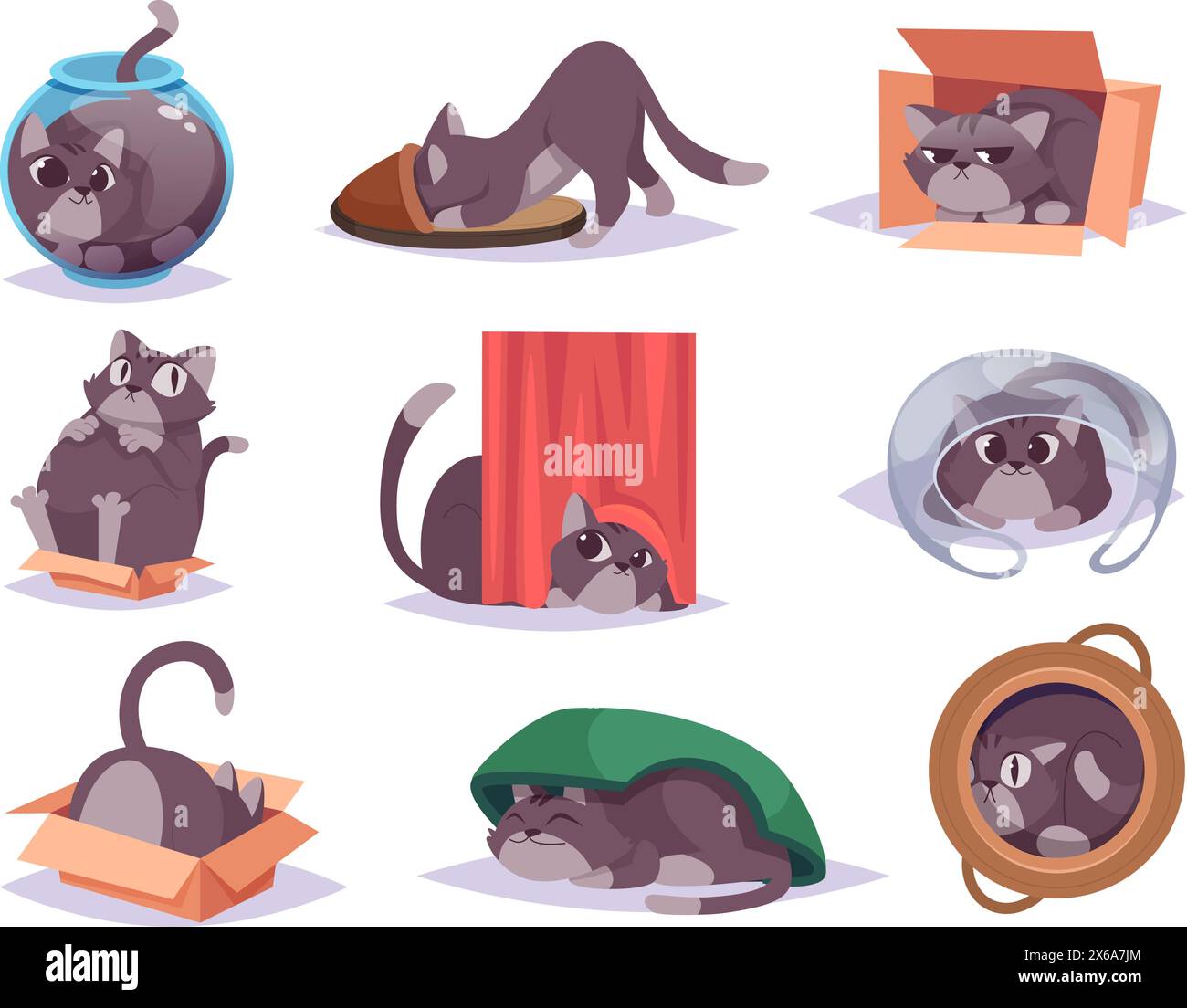 Boxed cat Cut Out Stock Images & Pictures - Alamy