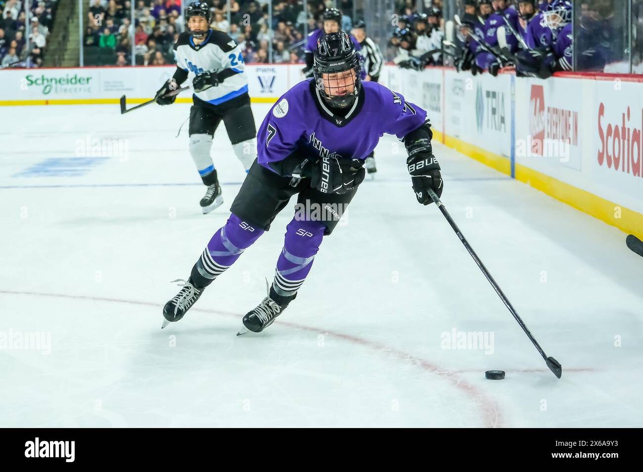 Butorac hi-res stock photography and images - Alamy