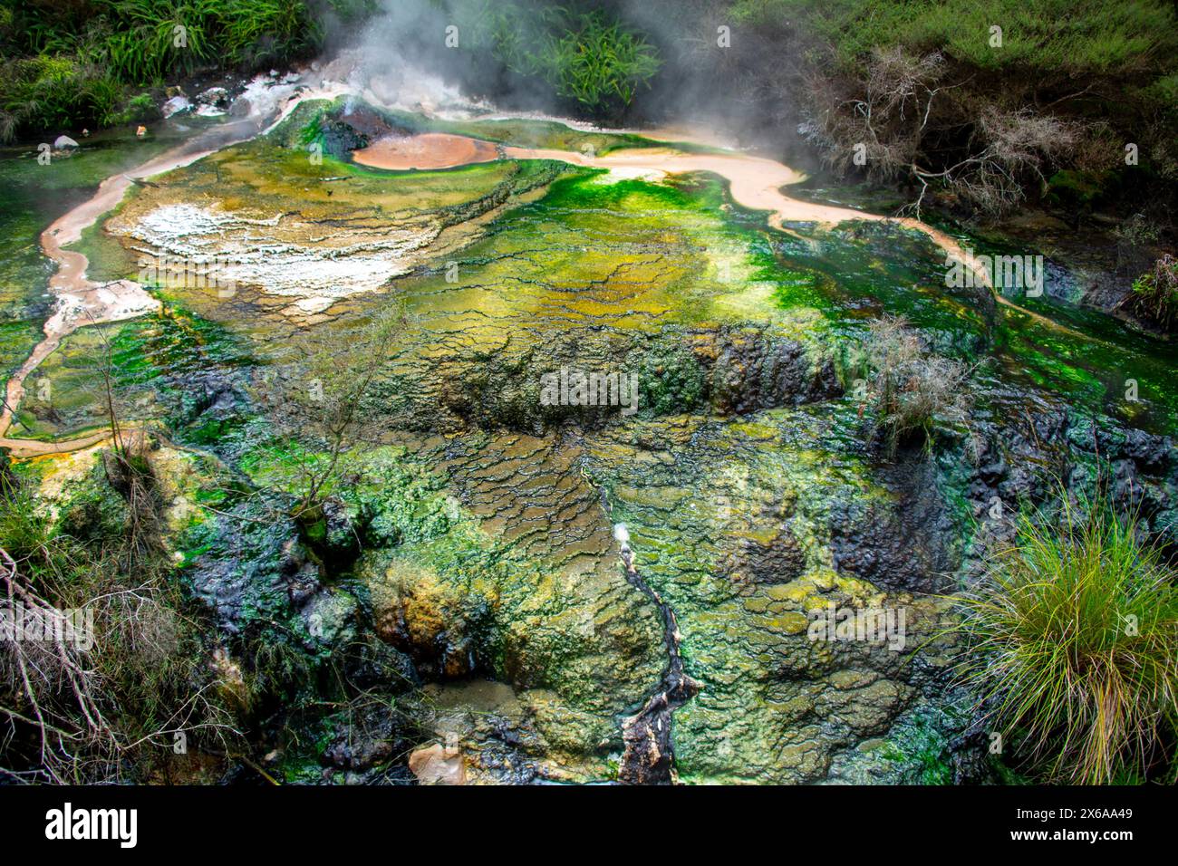 Crater nest hi-res stock photography and images - Alamy