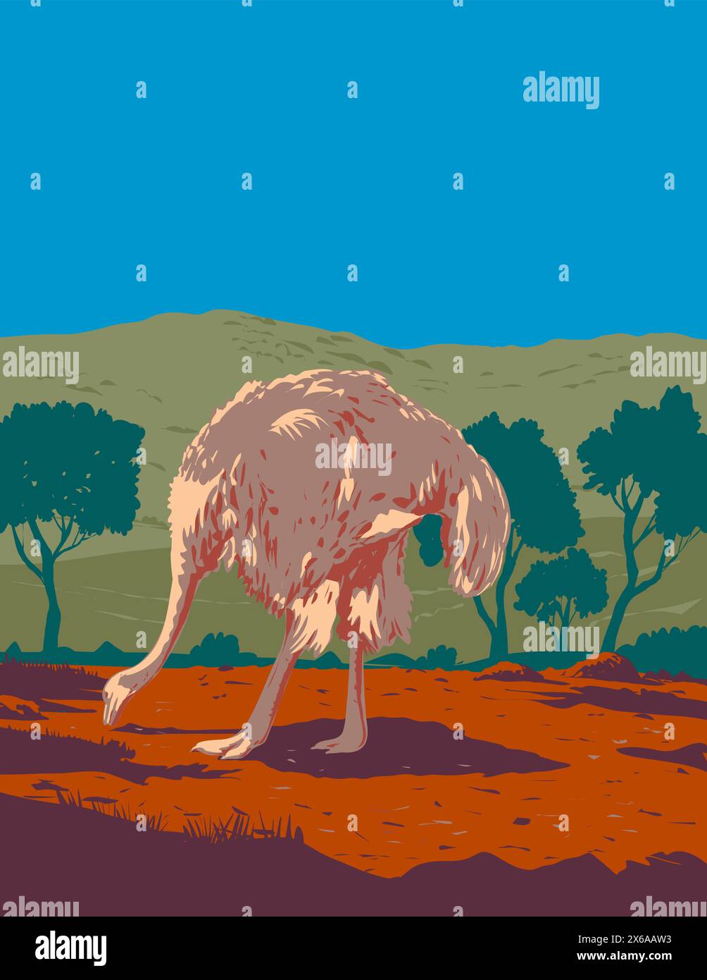 Grasslands bird Stock Vector Images - Alamy