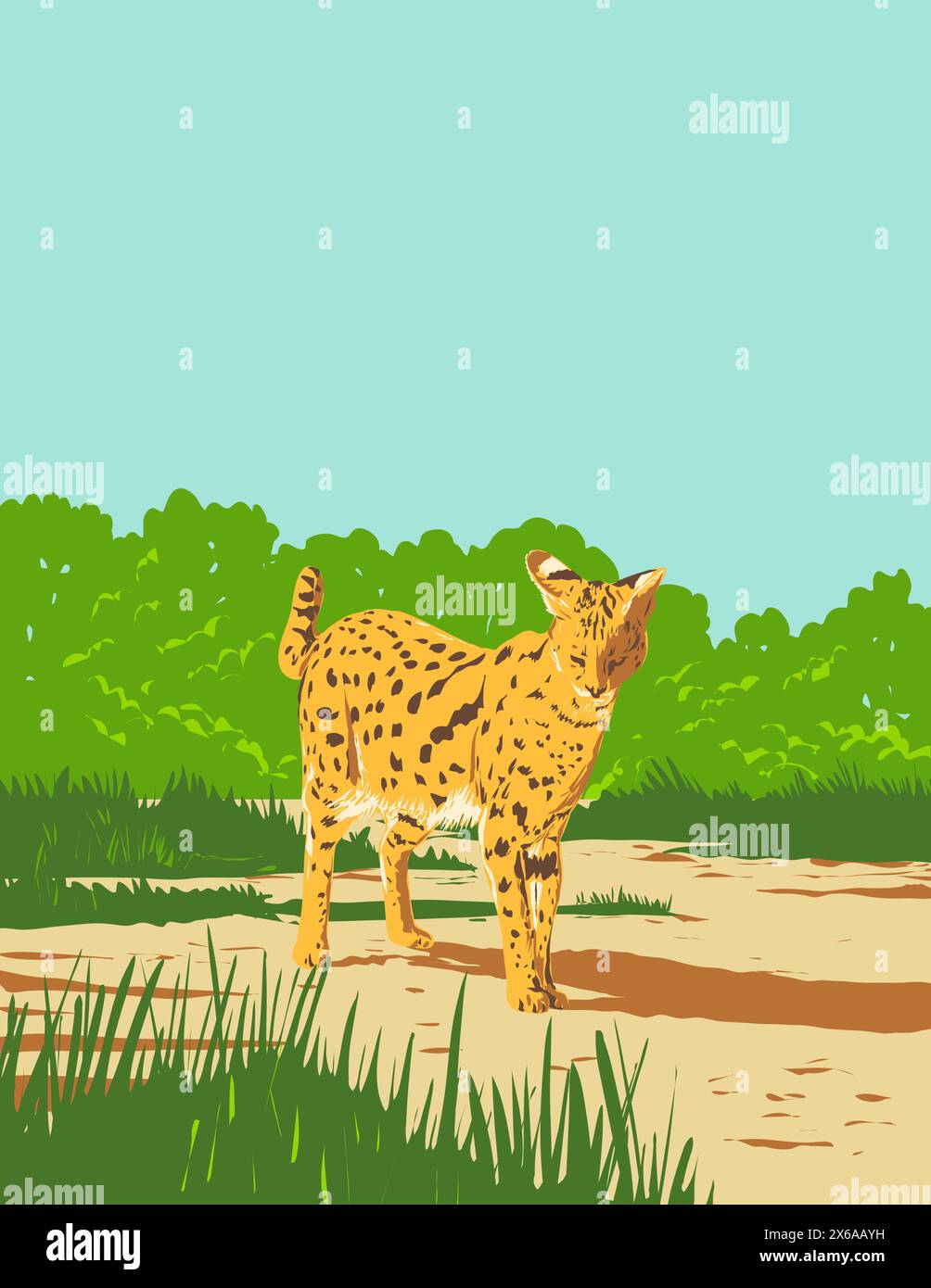 Animal limpopo Stock Vector Images - Alamy