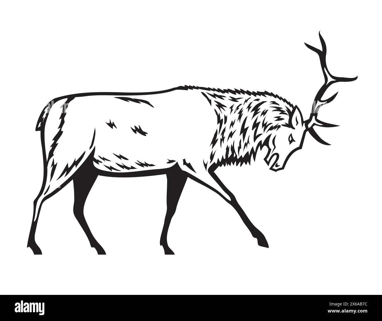 Elk Fight 006 Signtorch Turning Images Into Vector 44+ Thousand Elk