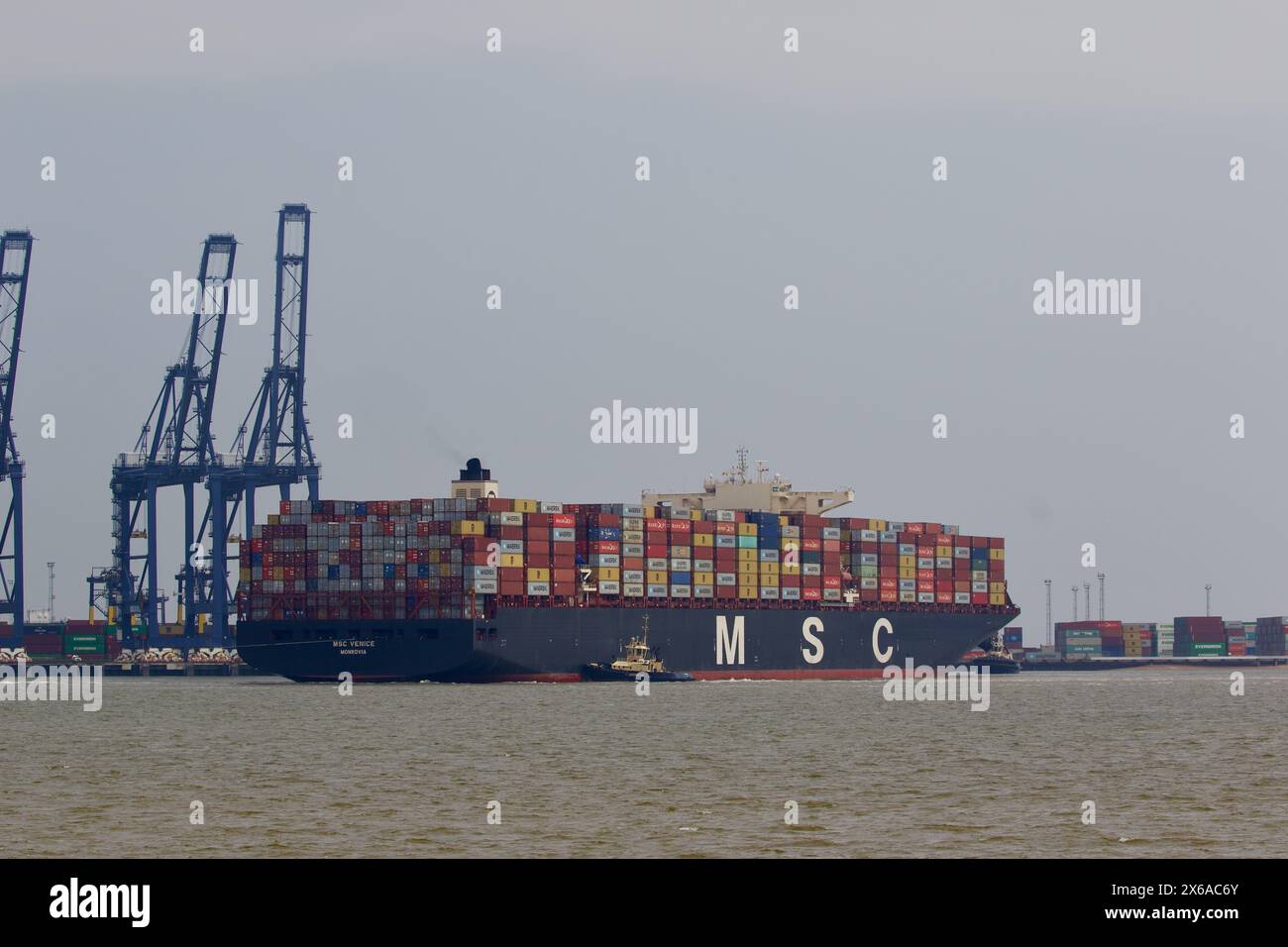 Container ship MSC Venice leaving the Port of Felixstowe, Suffolk, UK ...
