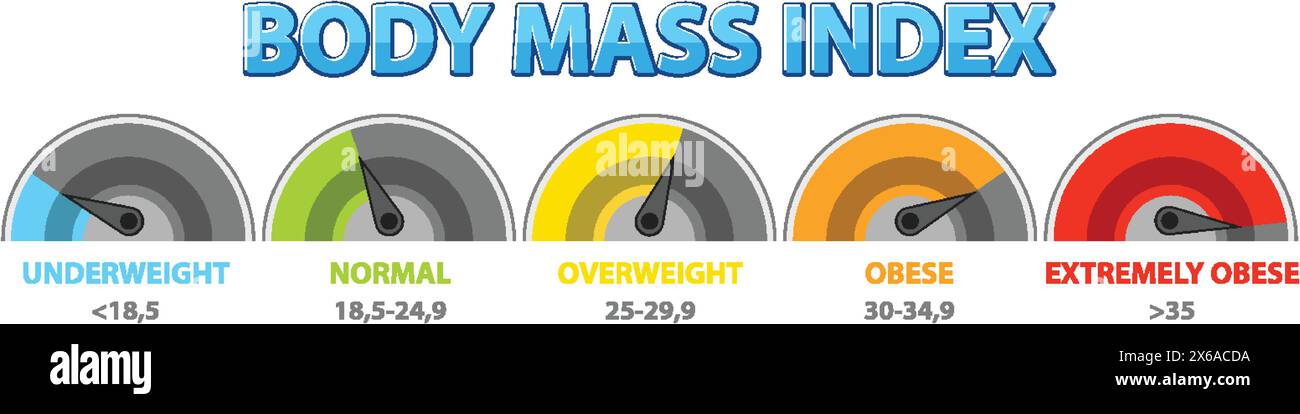 Bmi chart vector vectors hi-res stock photography and images - Alamy