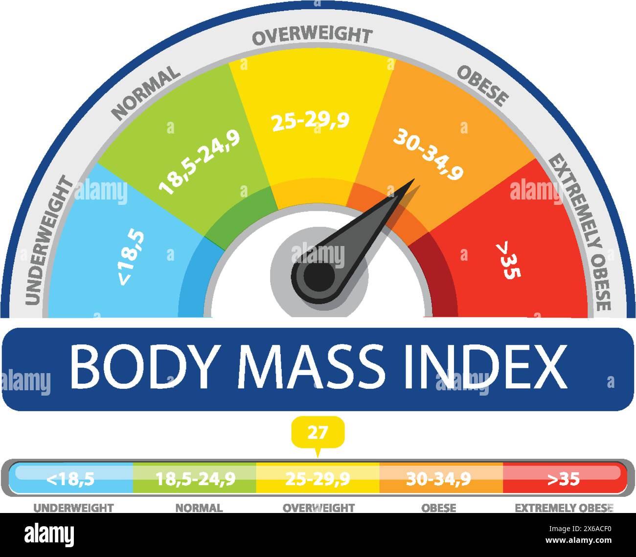 Colorful BMI gauge showing weight categories Stock Vector Image & Art ...