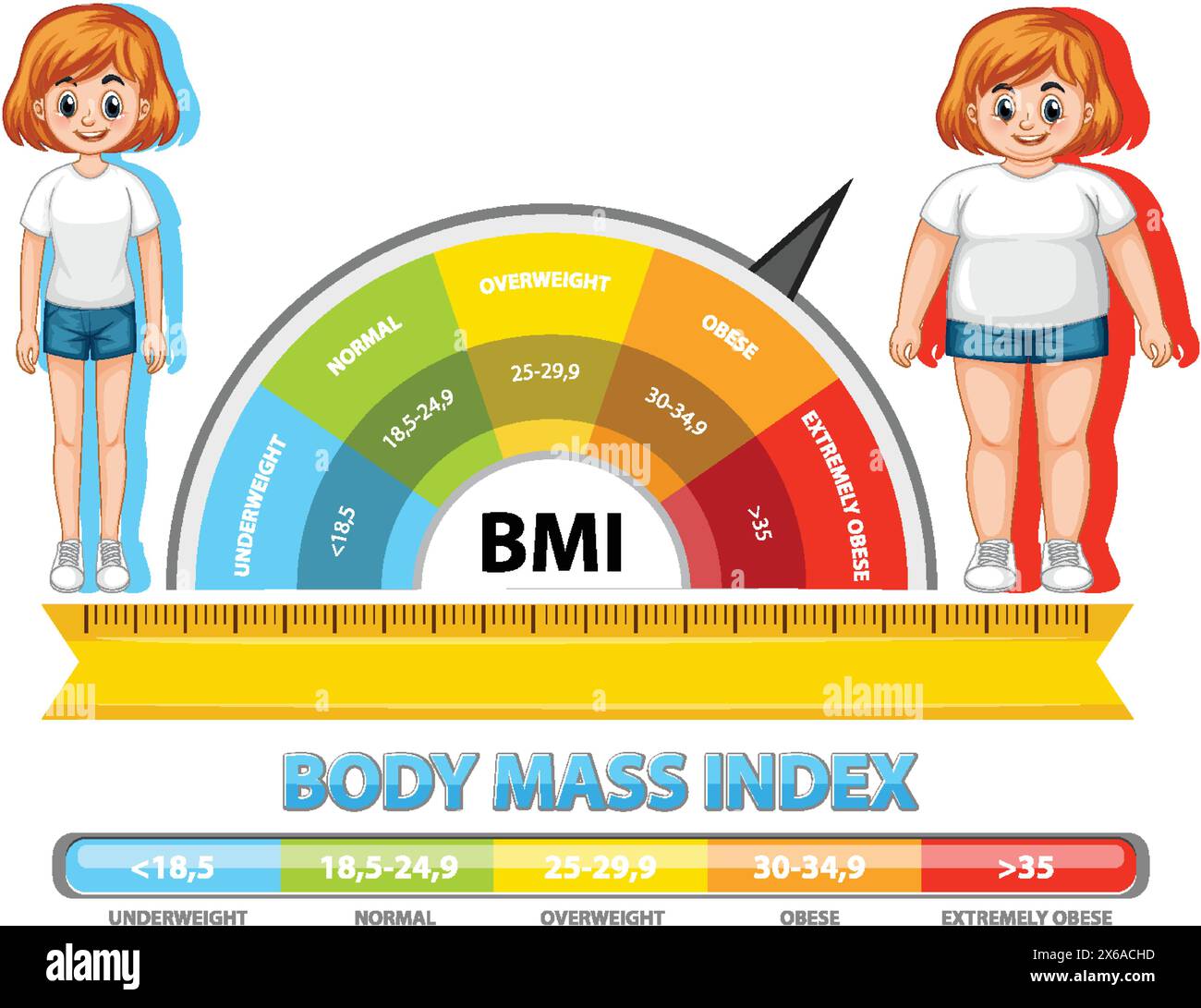 Visual representation of BMI categories and ranges Stock Vector Image ... Visual representation of BMI categories and ranges Stock Vector Image ...